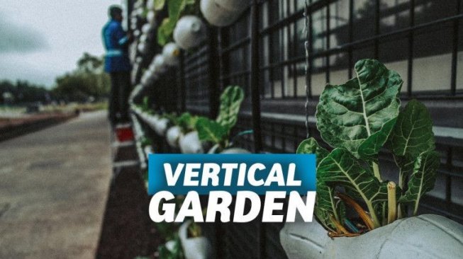 Serba-serbi Vertical Garden, Solusi Berkebun Ketika Nggak Punya Halaman Serba-serbi Vertical Garden, Solusi Berkebun Ketika Nggak Punya Halaman