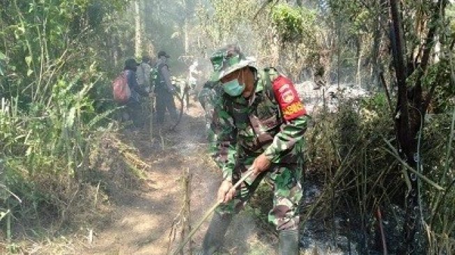 Api di Hutan Gunung Slamet Mulai Bisa Dipadamkan