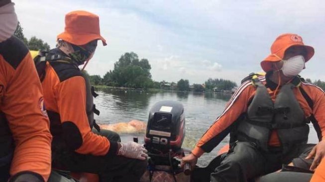 Cegah Virus Hog Cholera, Lalu Lintas Ternak Babi di Sumut Diperketat