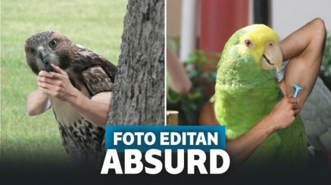 15 Foto Editan Hewan Ini Sukses Bikin Ngakak, Absurd Parah!