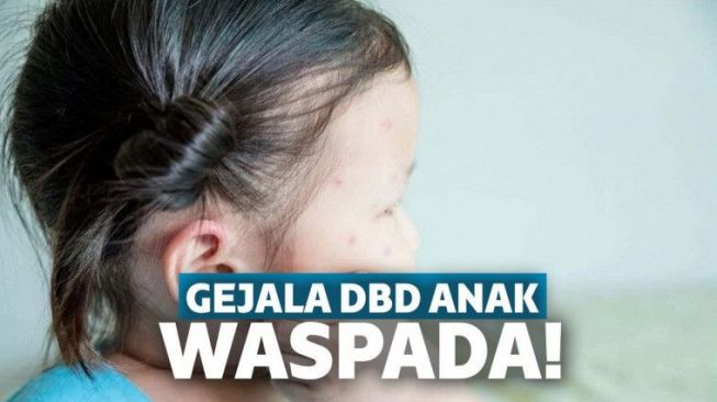 Musim Hujan Kian Mengganas, Ketahuilah Gejala DBD pada Anak