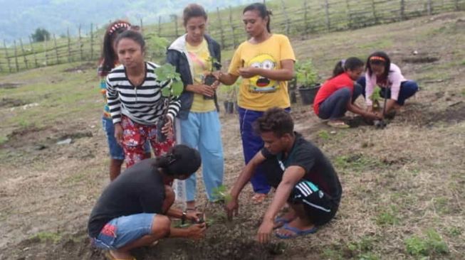 Kelompok Pemuda, Desa Nanaenoe Anggarkan Dana Desa Bantu Bronjong