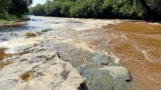 Melindungi Serawai Ambalau