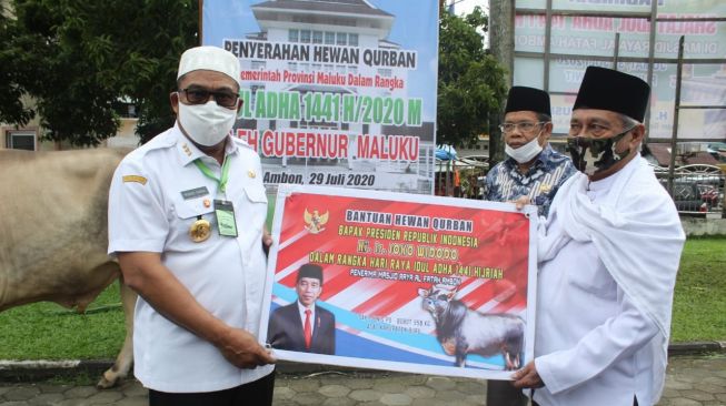 Gubernur Serahkan Sapi Ongole 900 Kg Untuk Negeri Tulehu