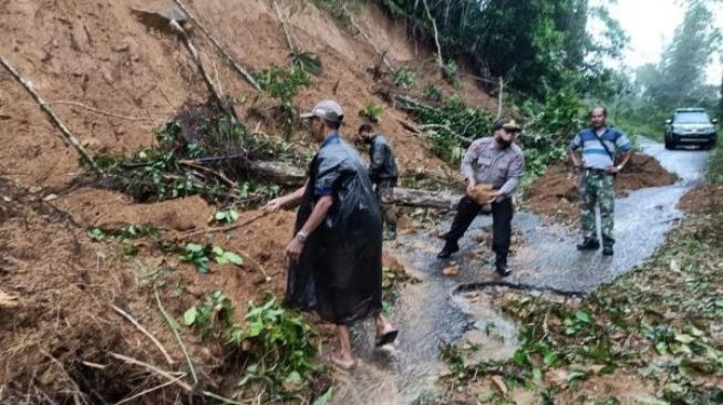 Hujan Deras Sebabkan Tanah Longsor dan Pohon Tumbang di Lebak