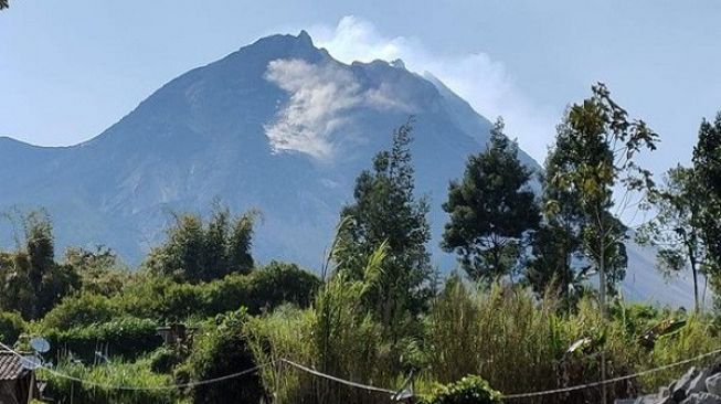 Puncak Merapi Bergemuruh Muntahkan Guguran Lava