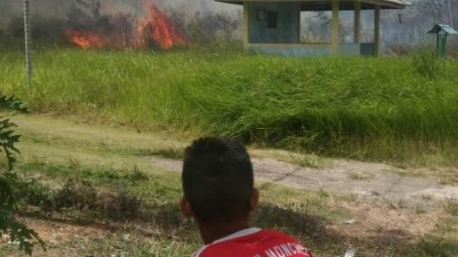 Gegara Bakar Sampah, 4 Hektare Lahan di Bintan Ikut Hangus