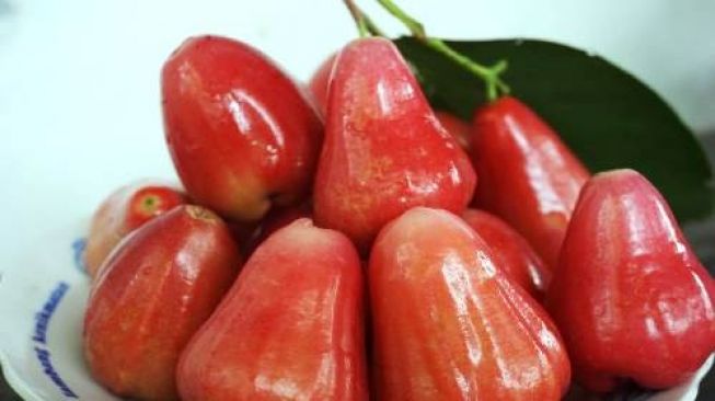 Setahun Kumulatif Penjualan Jambu Air Demak Capai Seratusan Miliar