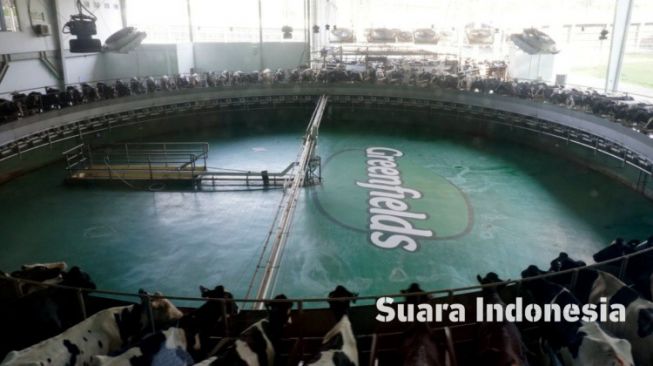Tak Digubris, Pemkab Blitar Layangkan Surat Teguran 2 ke PT Greenfield
