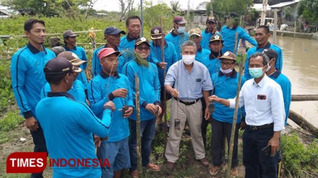 Cegah Ancaman Abrasi di Muara Bengawan Solo dengan Tanam Cemara Laut
