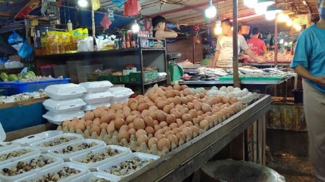Siap-siap, Harga Telur di Batam Bakal Makin Mahal Dampak Kenaikan BBM Siap-siap, Harga Telur di Batam Bakal Makin Mahal Dampak Kenaikan BBM