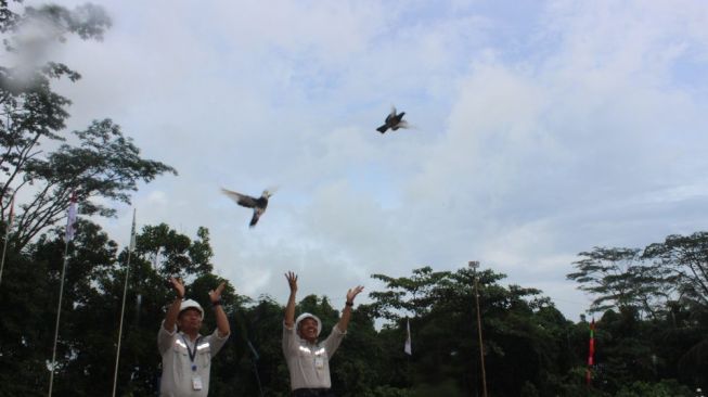Bersihkan Polusi Plastik di Garis Pantai Pulau Sebuku Kotabaru