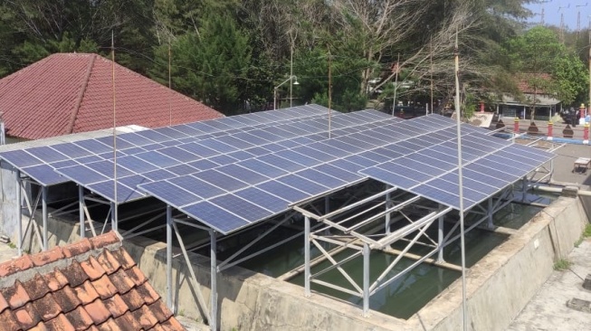 Langkah Kecil dari Pantai Baru, Pupuk Semangat Energi Bersih dengan ...