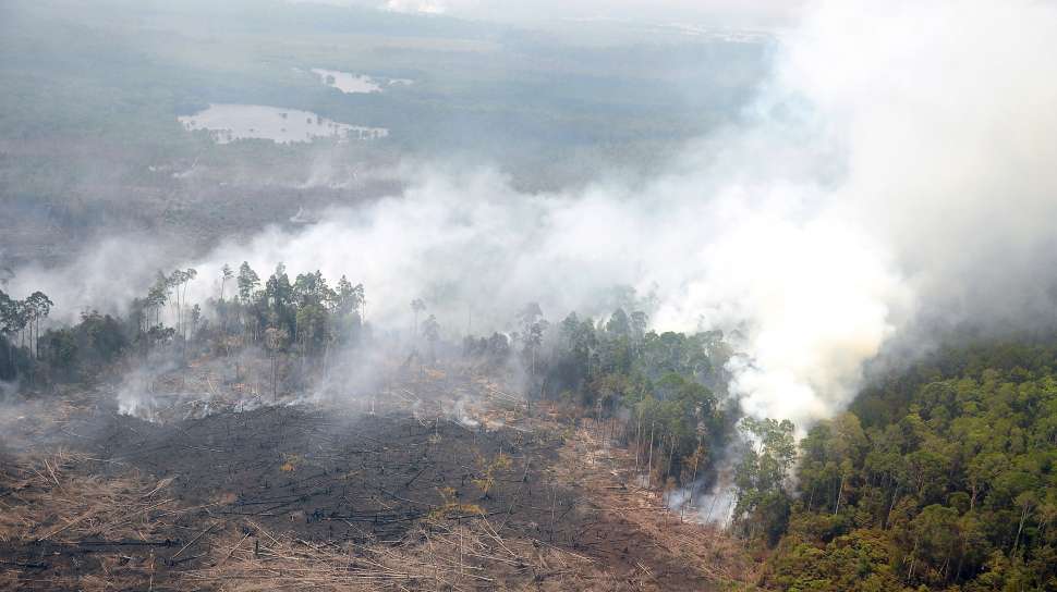 Dua Satelit Tampilkan Titik-titik Bara Api di Tengah Hutan Riau