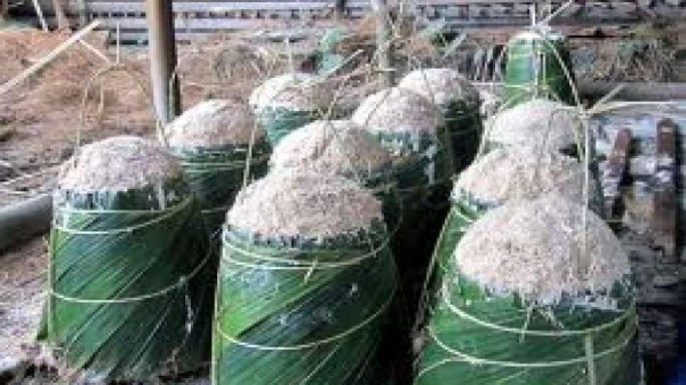 Bisa Jadi Makanan Pokok, Ini 6 Manfaat Kesehatan Mengonsumsi Sagu