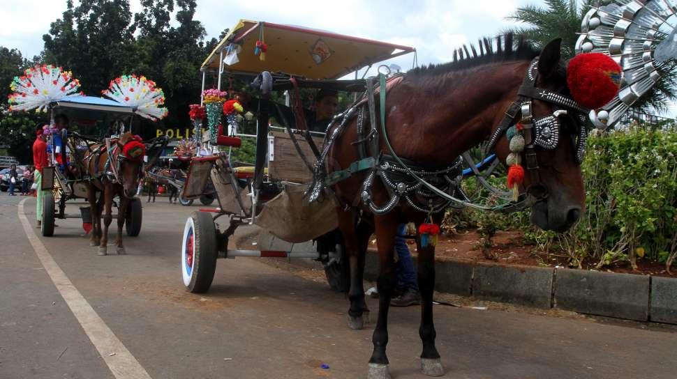 Delman Tanpa Kusir Hebohkan Pengguna Jalan, 3 Mobil Dibuat Menyingkir