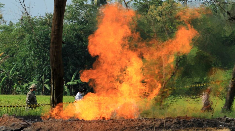 Ngeri! Sawah di Indramayu Keluarkan Semburan Api
