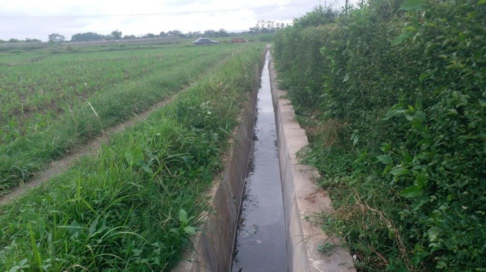 Banyak Kebocoran, Kementan Merehabilitasi Jaringan Irigasi Tersier di ...