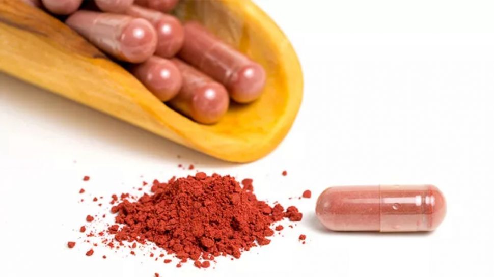 4 Manfaat Potensial Angkak bagi Kesehatan, Bantu Atasi DBD