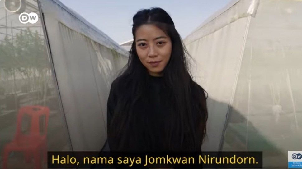 Cerita Jomkwan Nirundorn: Pelopor Pertanian Tanaman Ganja yang Bantu Ekonomi Warga Thailand