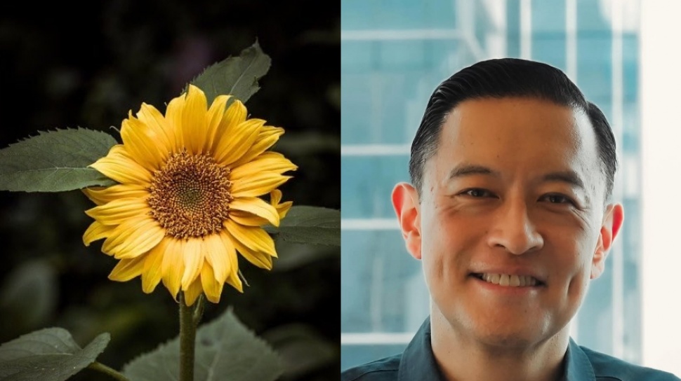 Makna Bunga Matahari di Cuitan Tom Lembong, Simbol Optimisme?