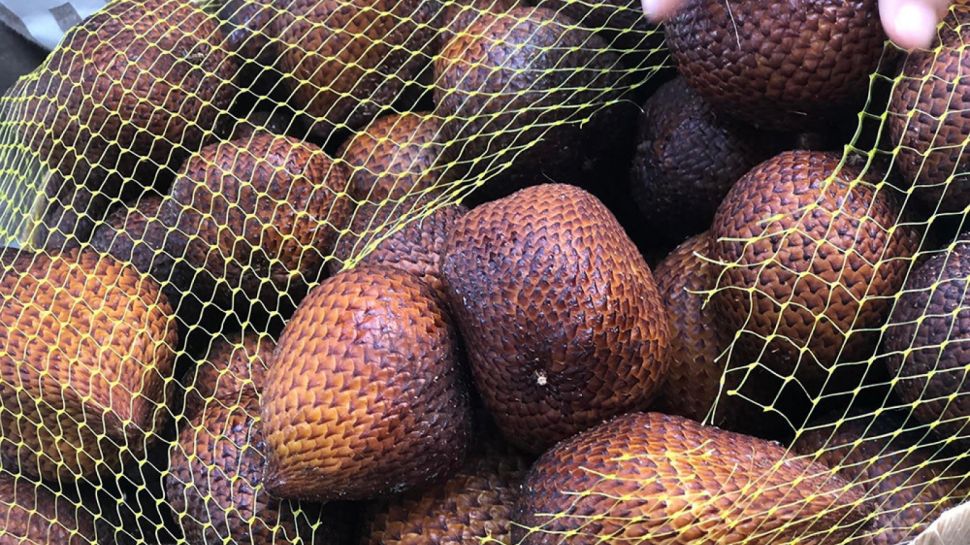 Viral! Awalnya Dianggap Buah Aneh, Salak Kini Jadi Buah Langka dengan Harga Fantastis di Negeri ...