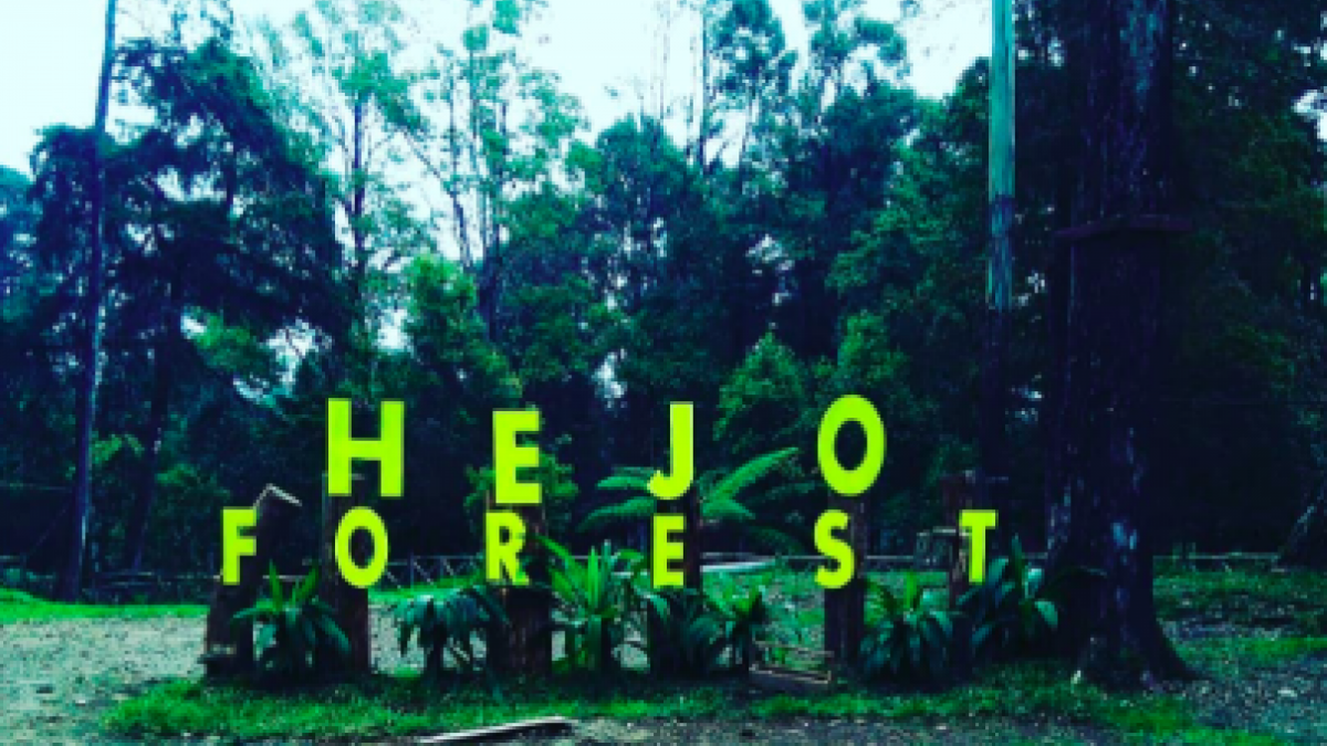 Hutan Hejo bisa menjadi tujuan wisata di Bandung pada akhir tahun ...