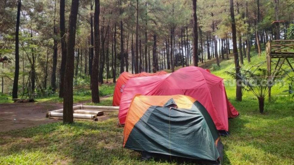 5 Rekomendasi Camping Ground di Jakarta dan Sekitarnya, Cocok ...